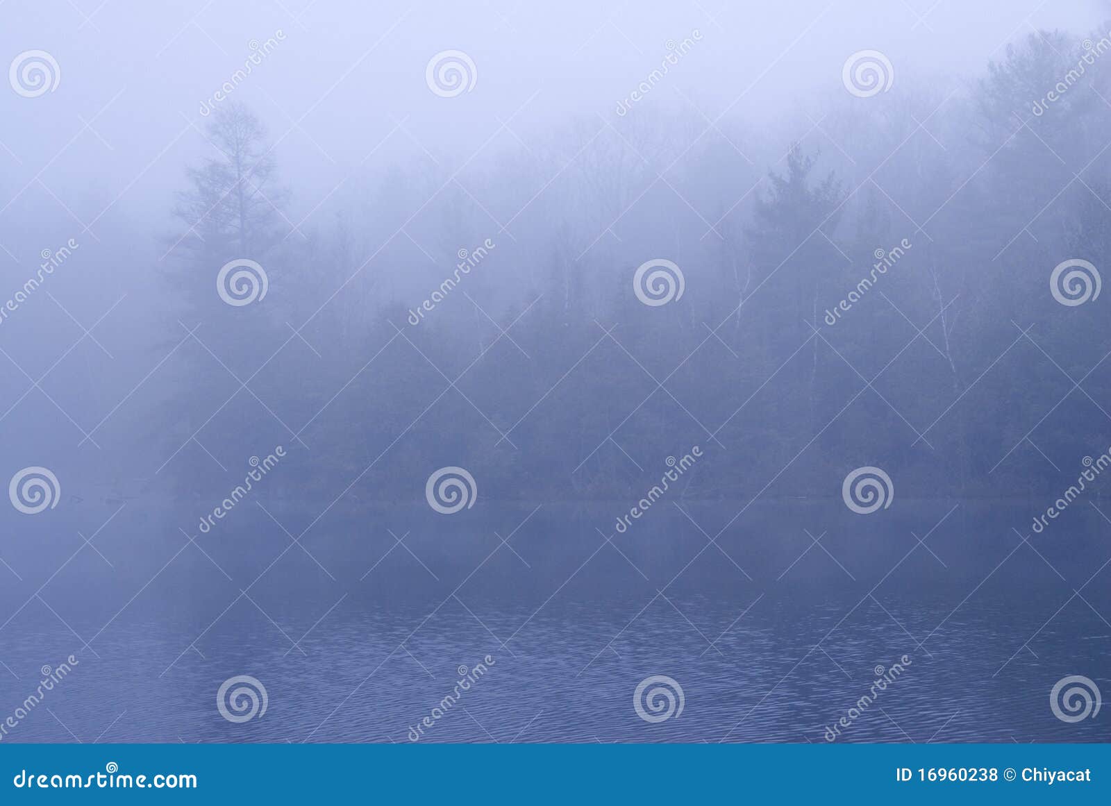 Fog Over a Lake and Forest stock photo. Image of moody - 16960238