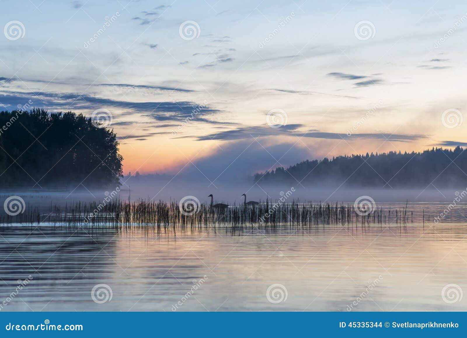 Fog over a lake stock photo. Image of evening, nature - 45335344
