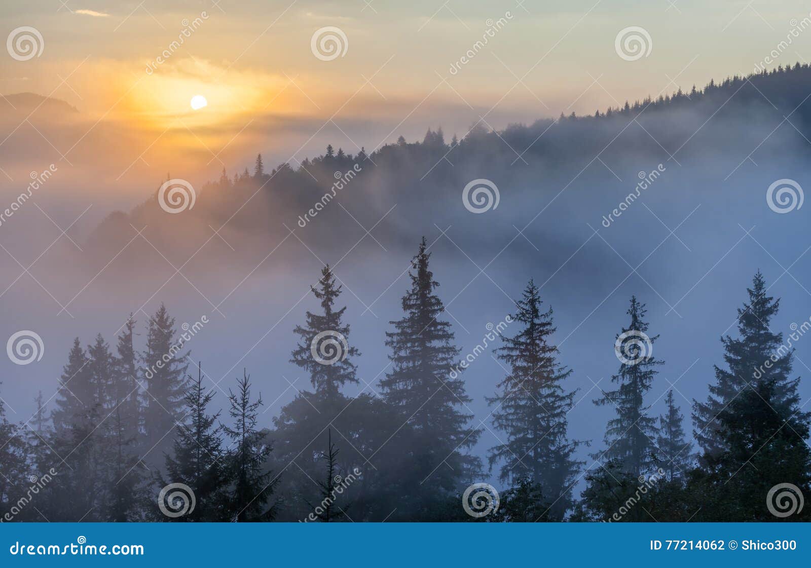 Fog Over Mountain Range in Sunrise Light. Stock Photo - Image of mist ...