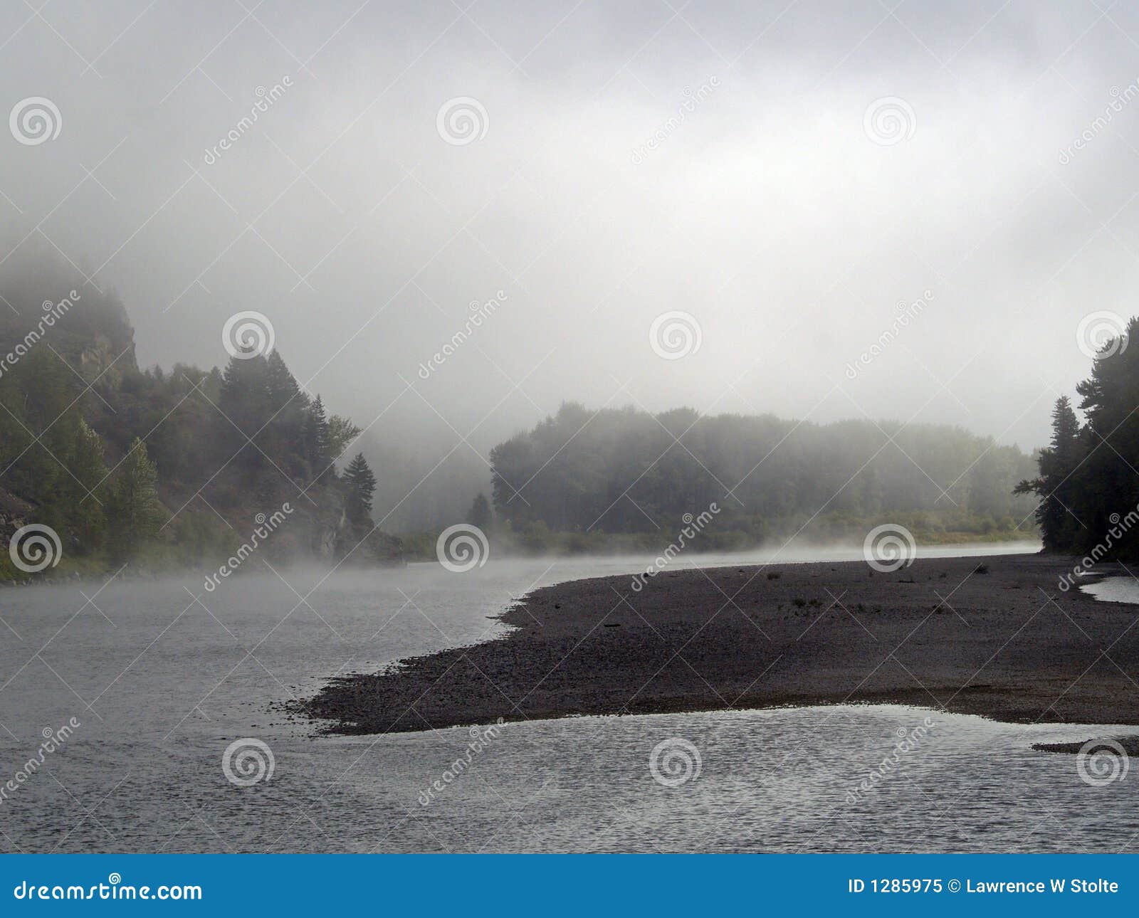 Fog Over the River stock image. Image of stream, leaves - 1285975