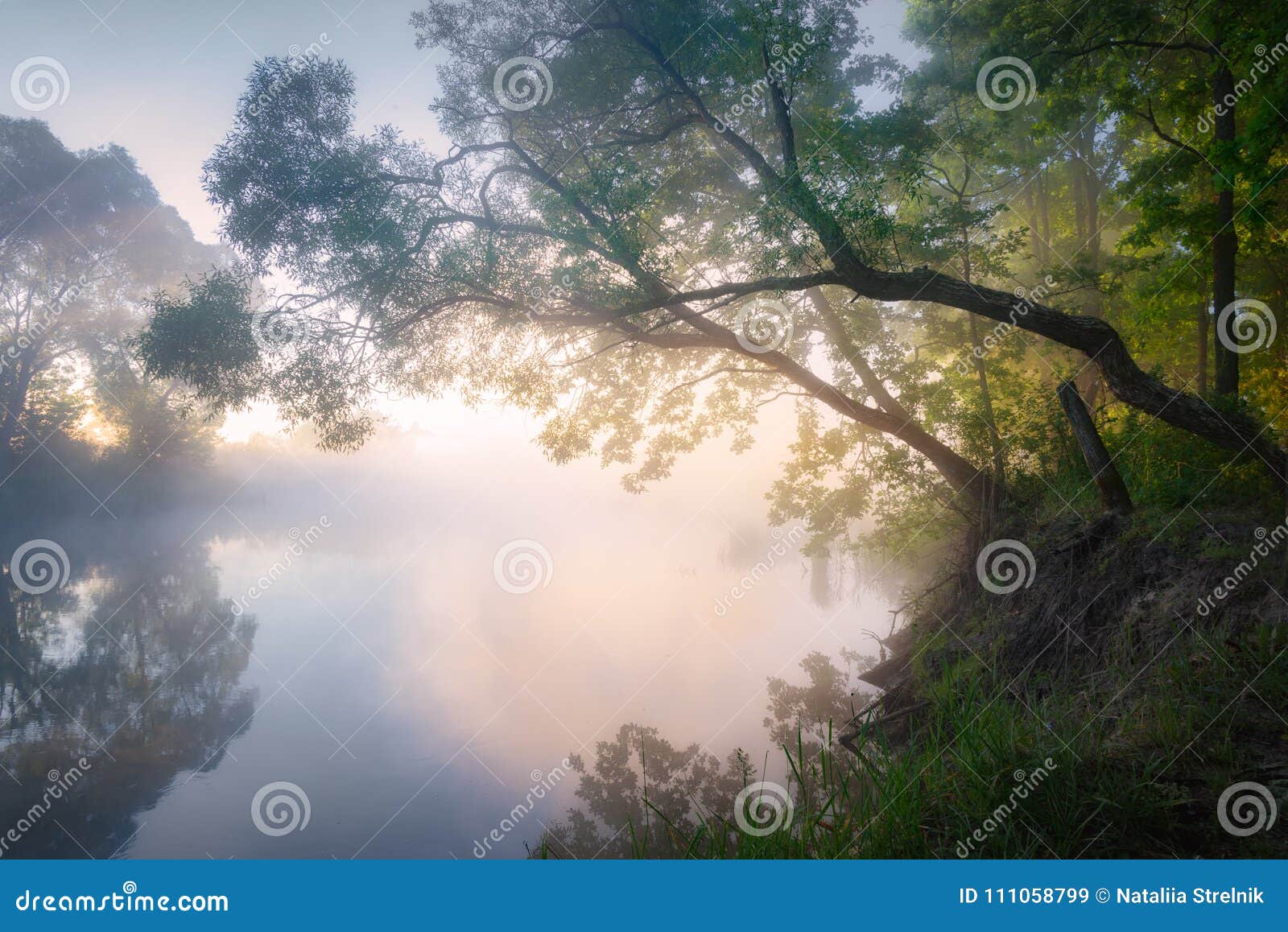 Fog Over the River. Dawn by the River Stock Image - Image of nature ...