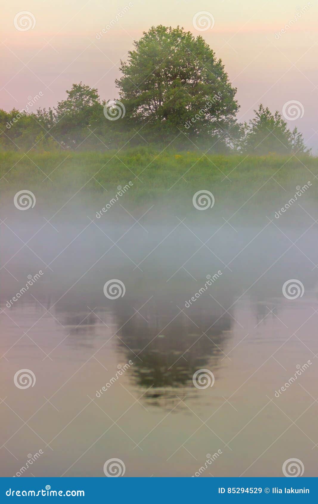 Fog Over the River. Early Morning. Stock Image - Image of riverside ...