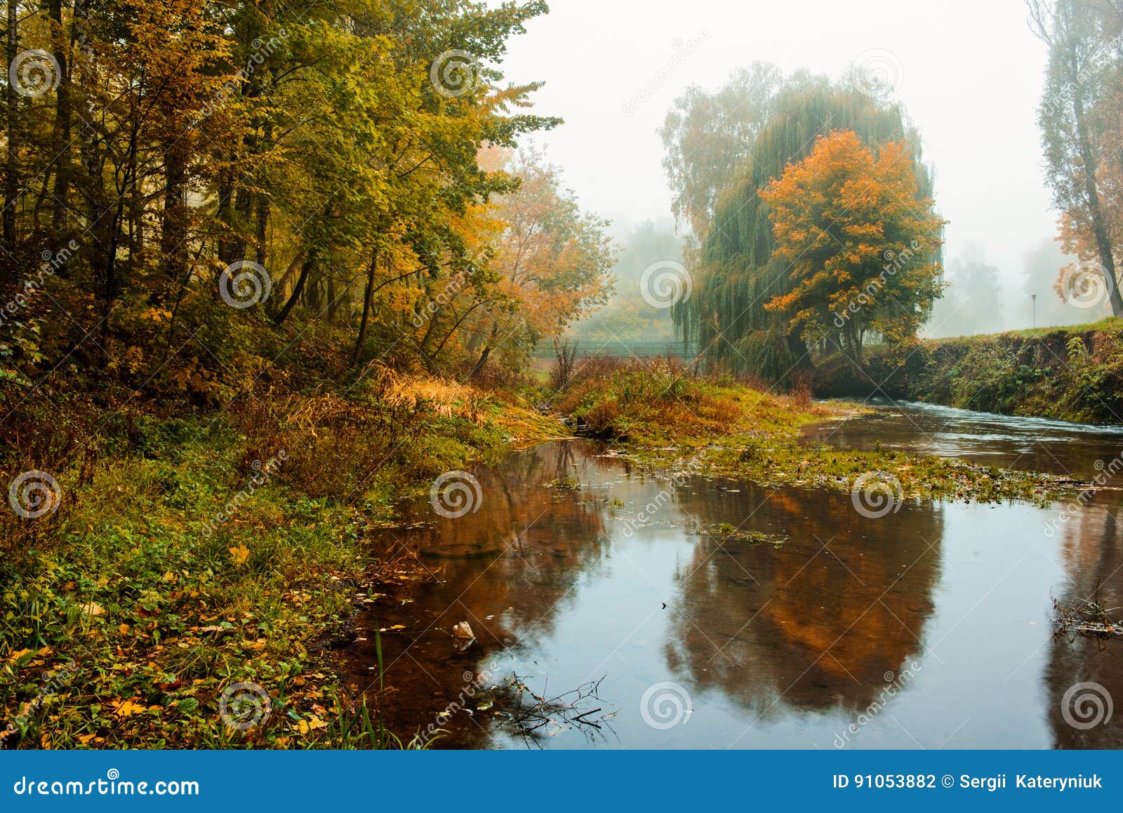 Fog Over River in Forest in the Autumn Stock Photo - Image of morning ...
