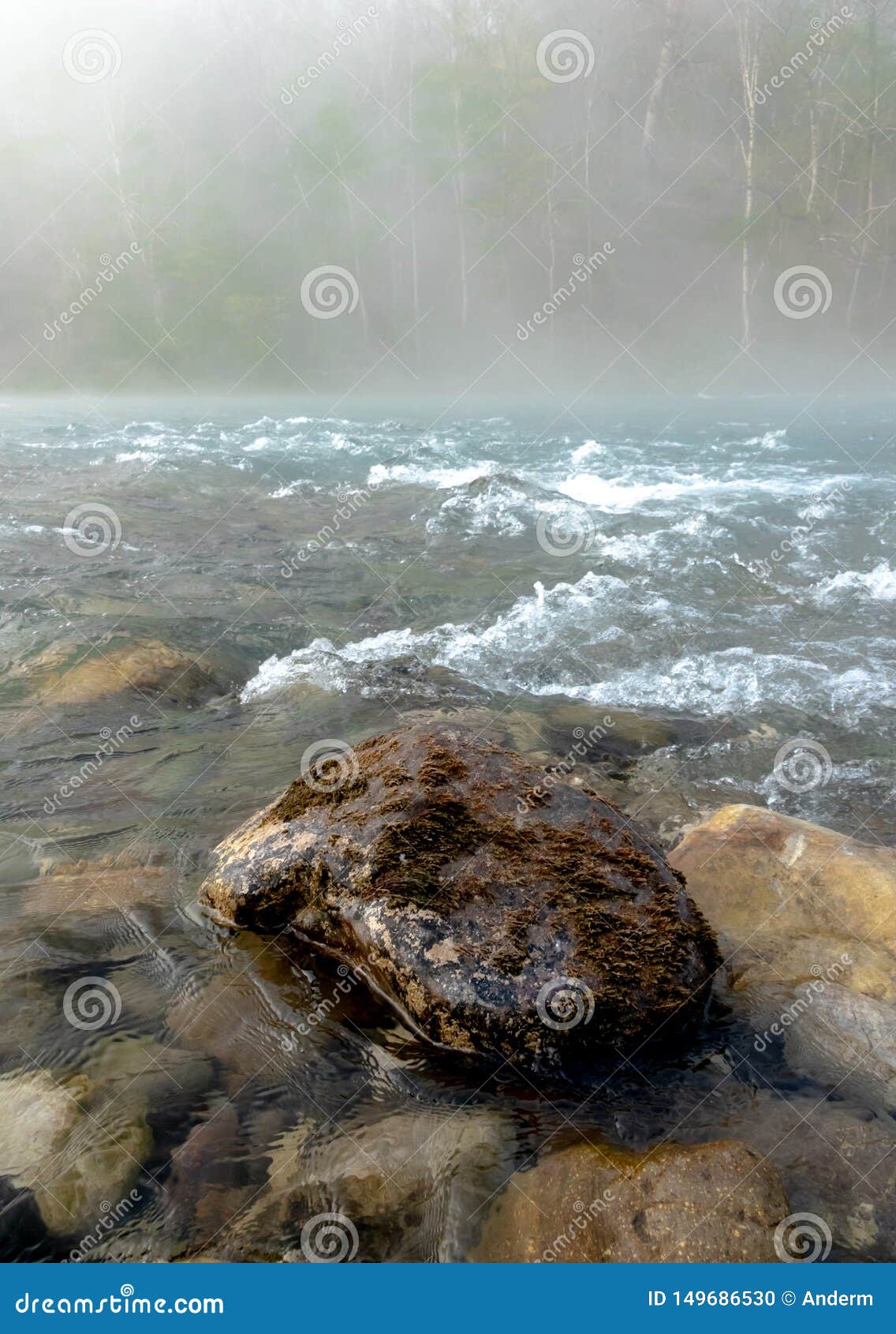 Fog Over River in a Forest in Spring Stock Photo - Image of autumn ...