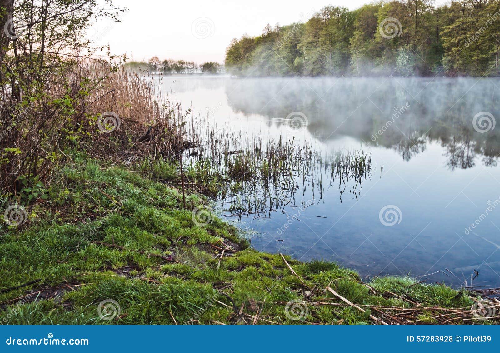 Fog over the river stock photo. Image of forest, lake - 57283928