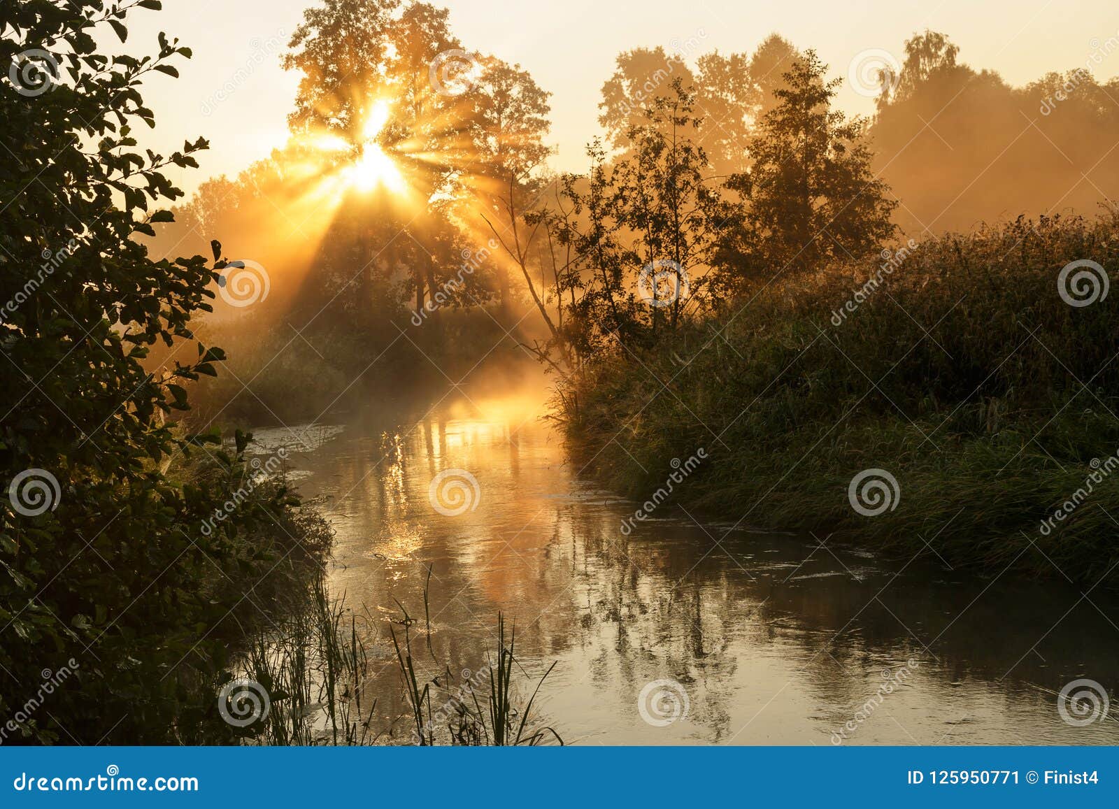 Fog Over the River with the Rising Sun. Stock Image - Image of forest ...