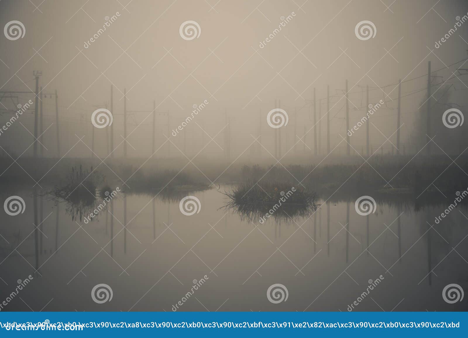Fog Over the Swamp. Marshland Stock Image - Image of pine, mist: 144318567