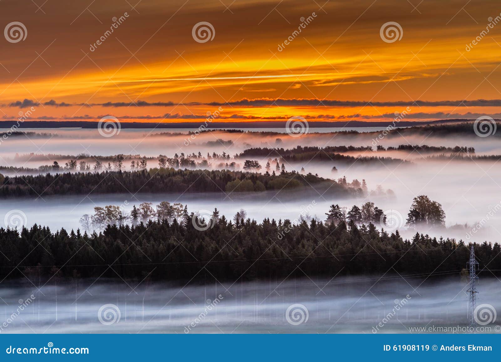 Fog over trees at sunset stock image. Image of rise, sunset - 61908119