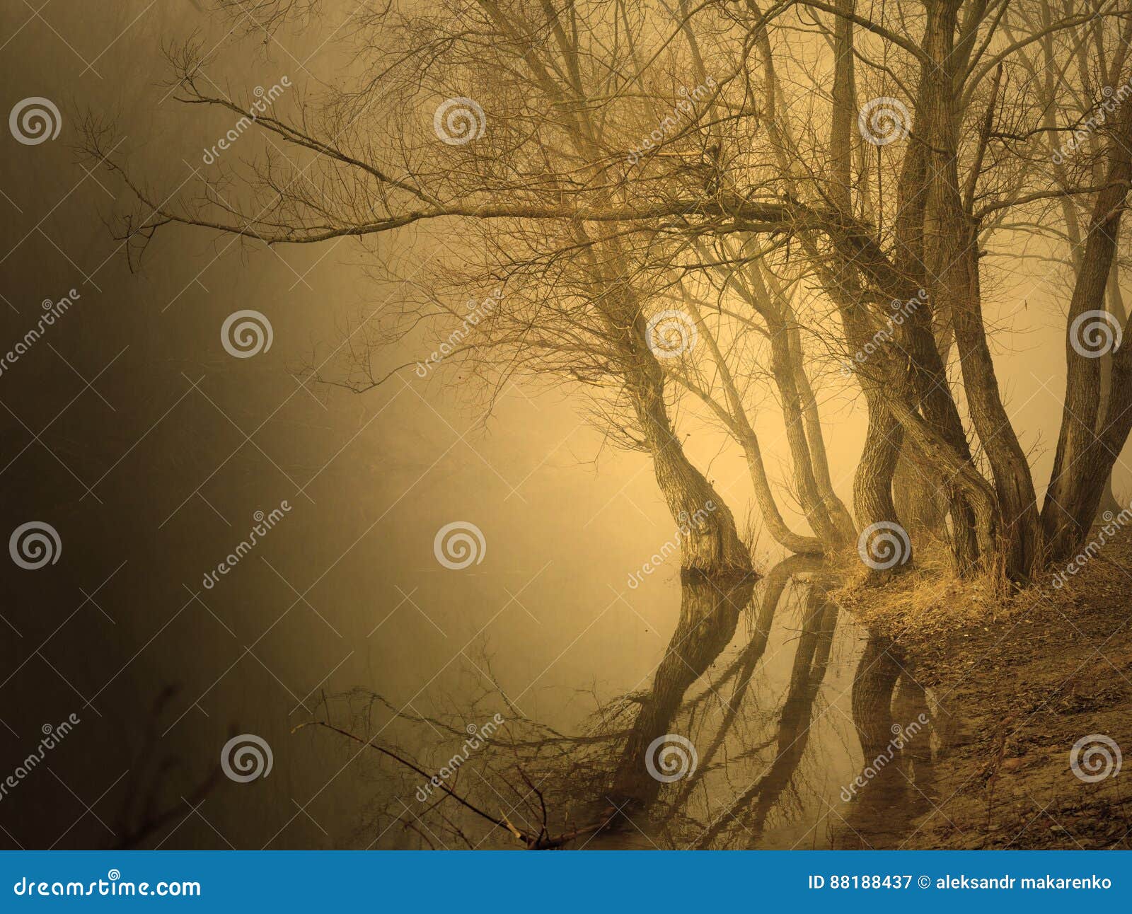 Fog Over Water in the Spring in the Early Morning. Stock Image - Image ...