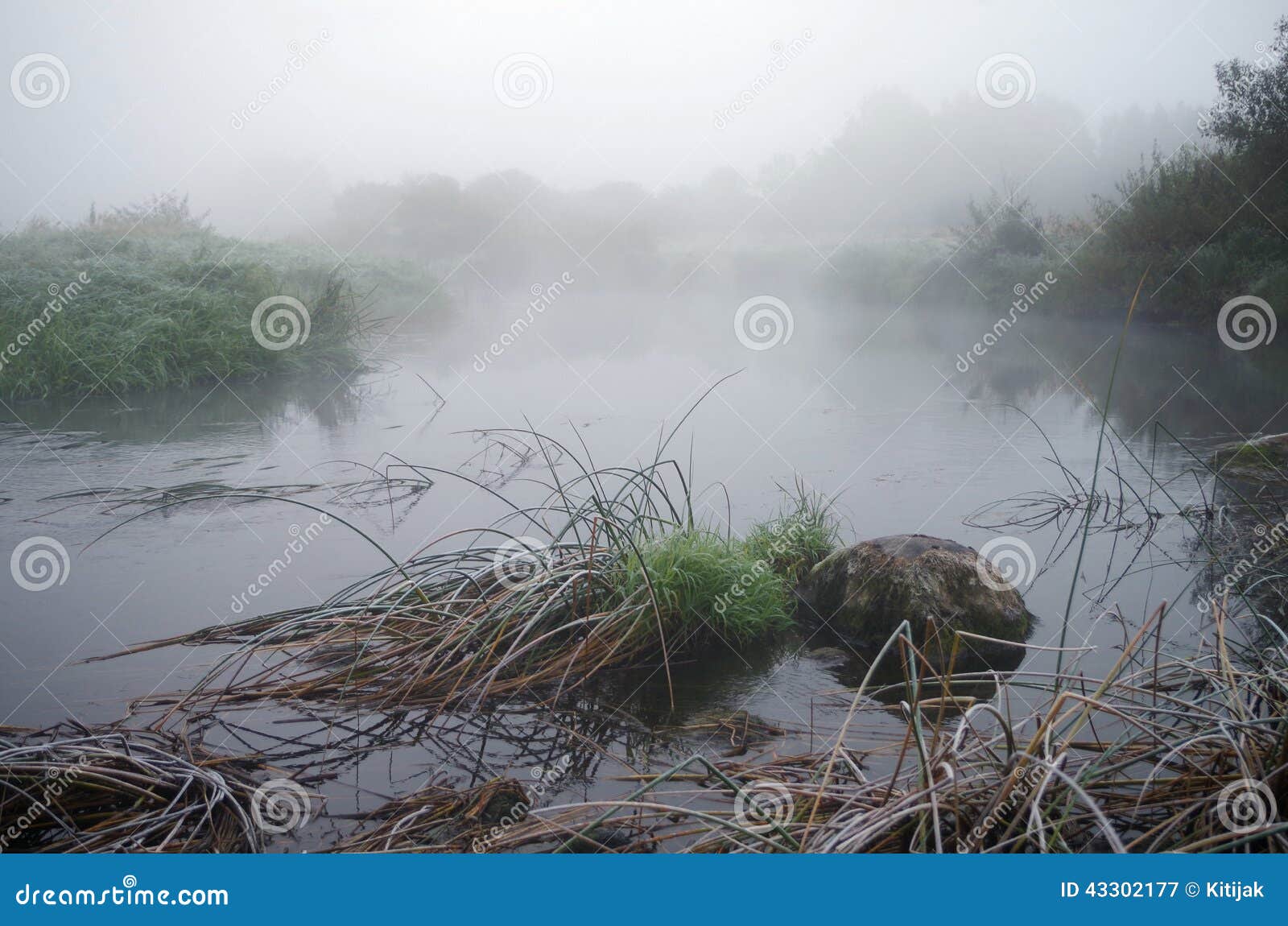 Fog over water stock image. Image of summer, river, morning - 43302177