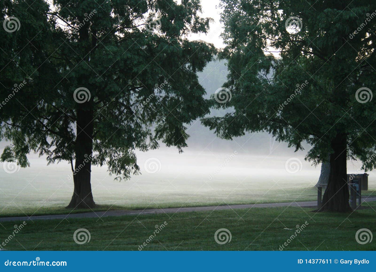 Fog in Park stock image. Image of ohio, forest, misty - 14377611