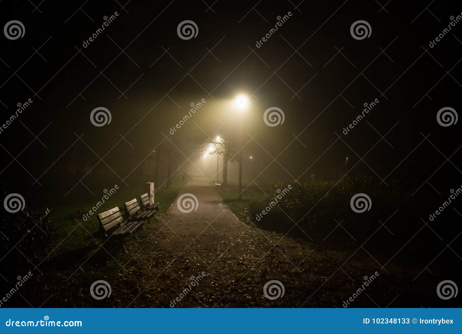 Fog in the Park, Night, Soft Focus, High Iso, Stock Image - Image of ...