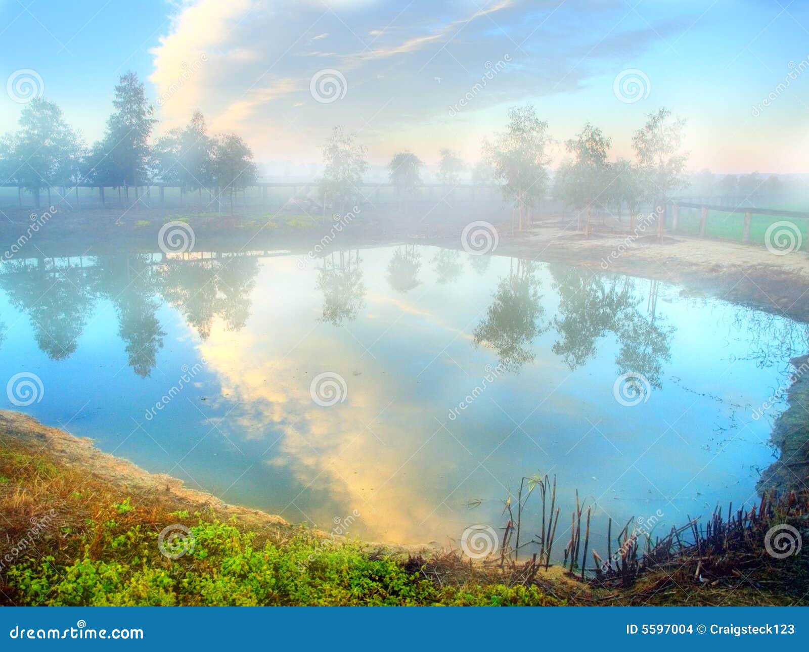Fog on the pond stock photo. Image of australia, waterhole - 5597004