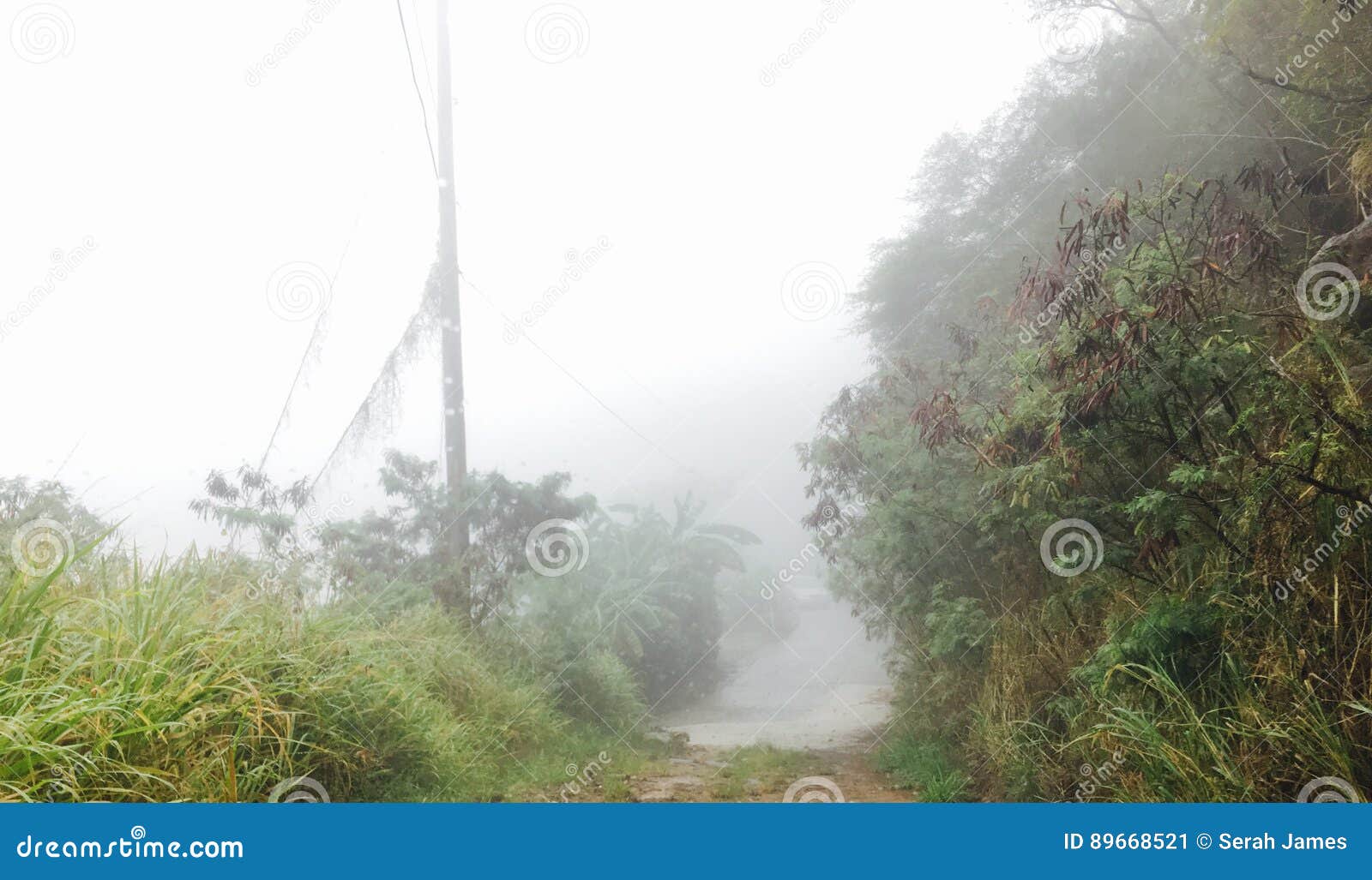 Fog stock image. Image of fogged, stormy, rainy, weather - 89668521