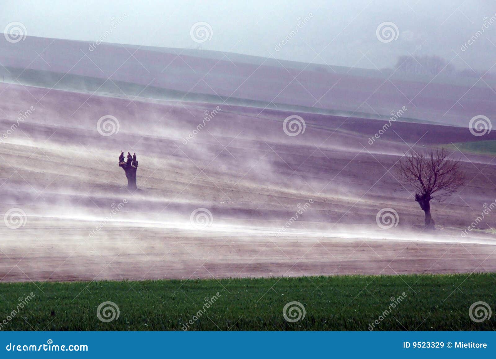 Fog is Rising stock image. Image of alone, morning, nature - 9523329