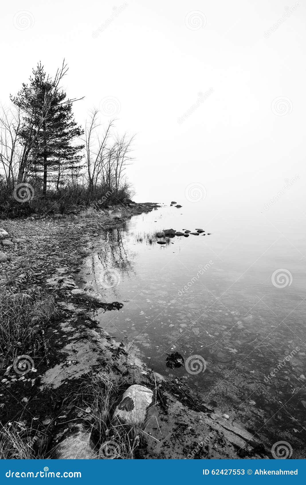 Fog Rising Off the Ottawa River - Shoreline with Diffused Sunlight ...