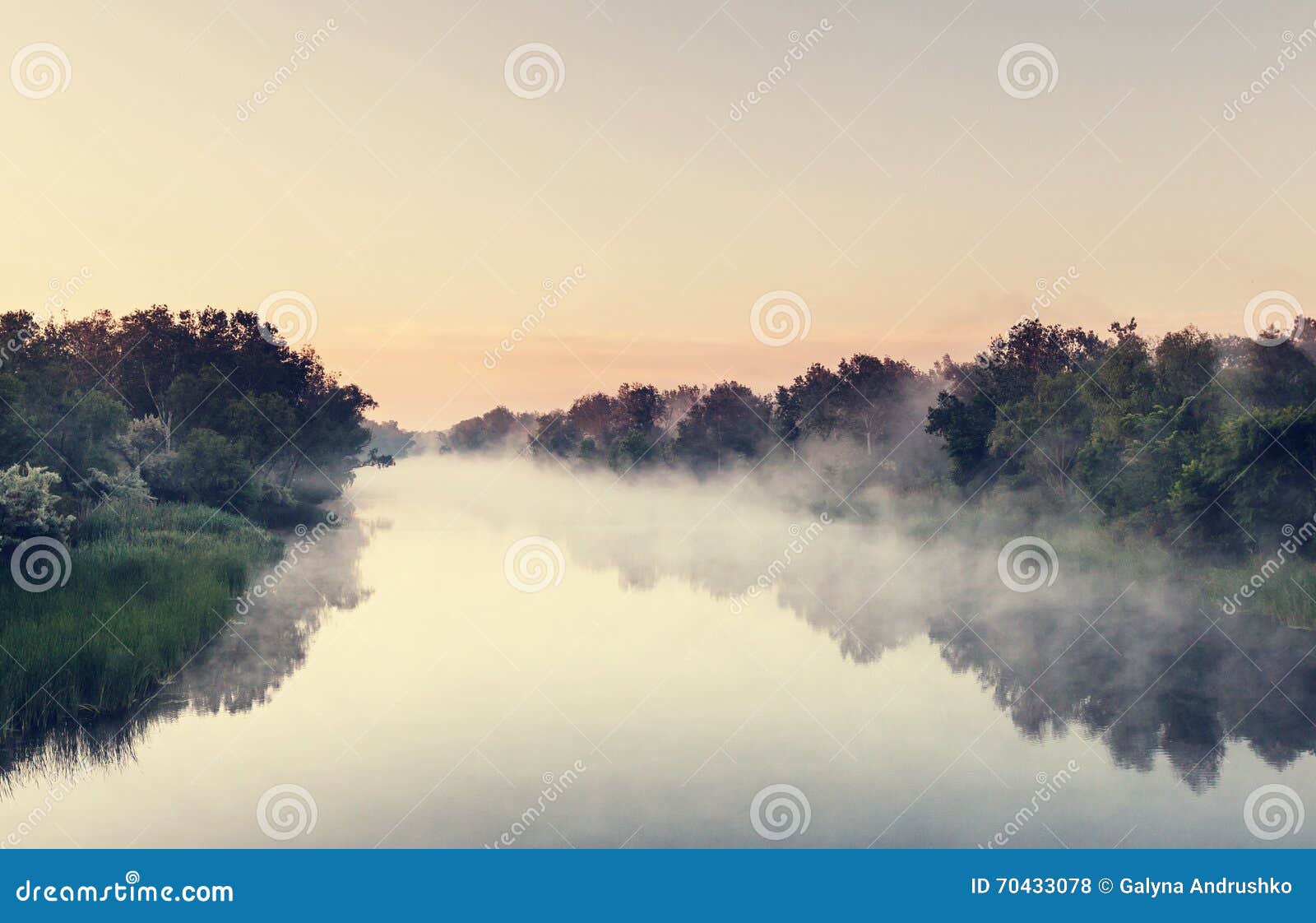 Fog on the river stock photo. Image of foggy, grass, colorful - 70433078