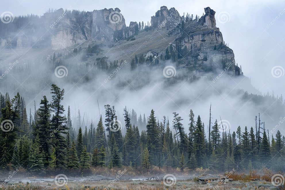 Fog Rolling through Pine Forest in Front of Rugged Mountain Peaks Stock ...