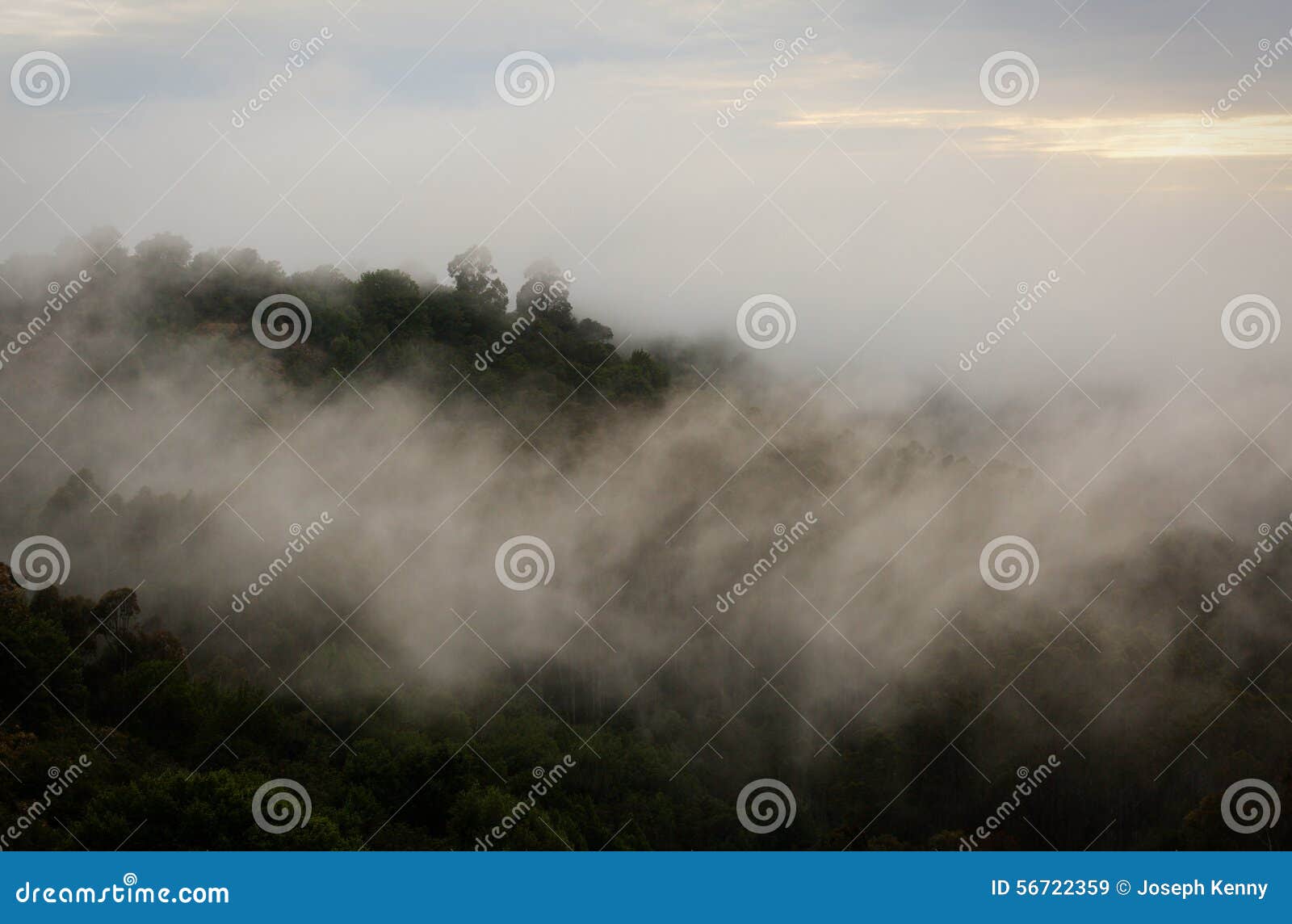 Fog Rolling in stock image. Image of california, rolling - 56722359