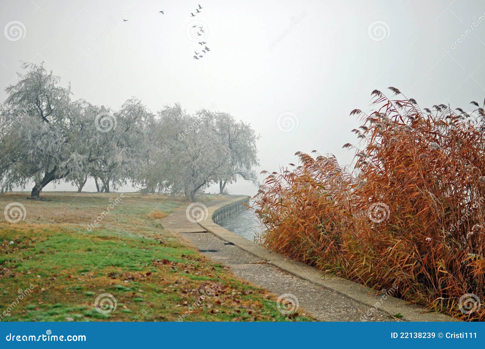 Fog On The Sea Picture. Image: 22138239