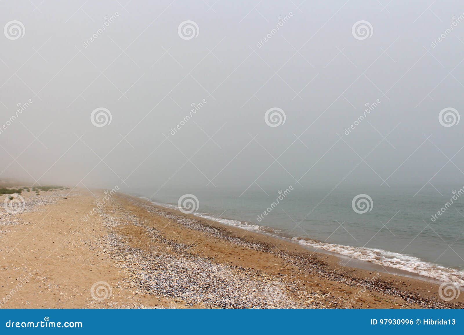 Fog on the sea shore stock photo. Image of mist, summer - 97930996