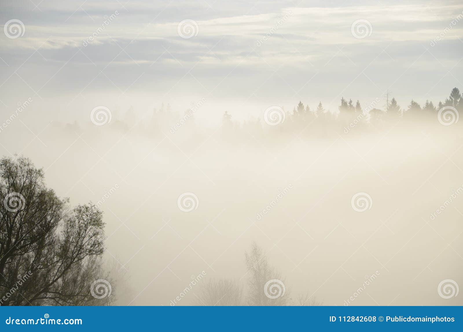 Fog, Sky, Mist, Morning Picture. Image: 112842608