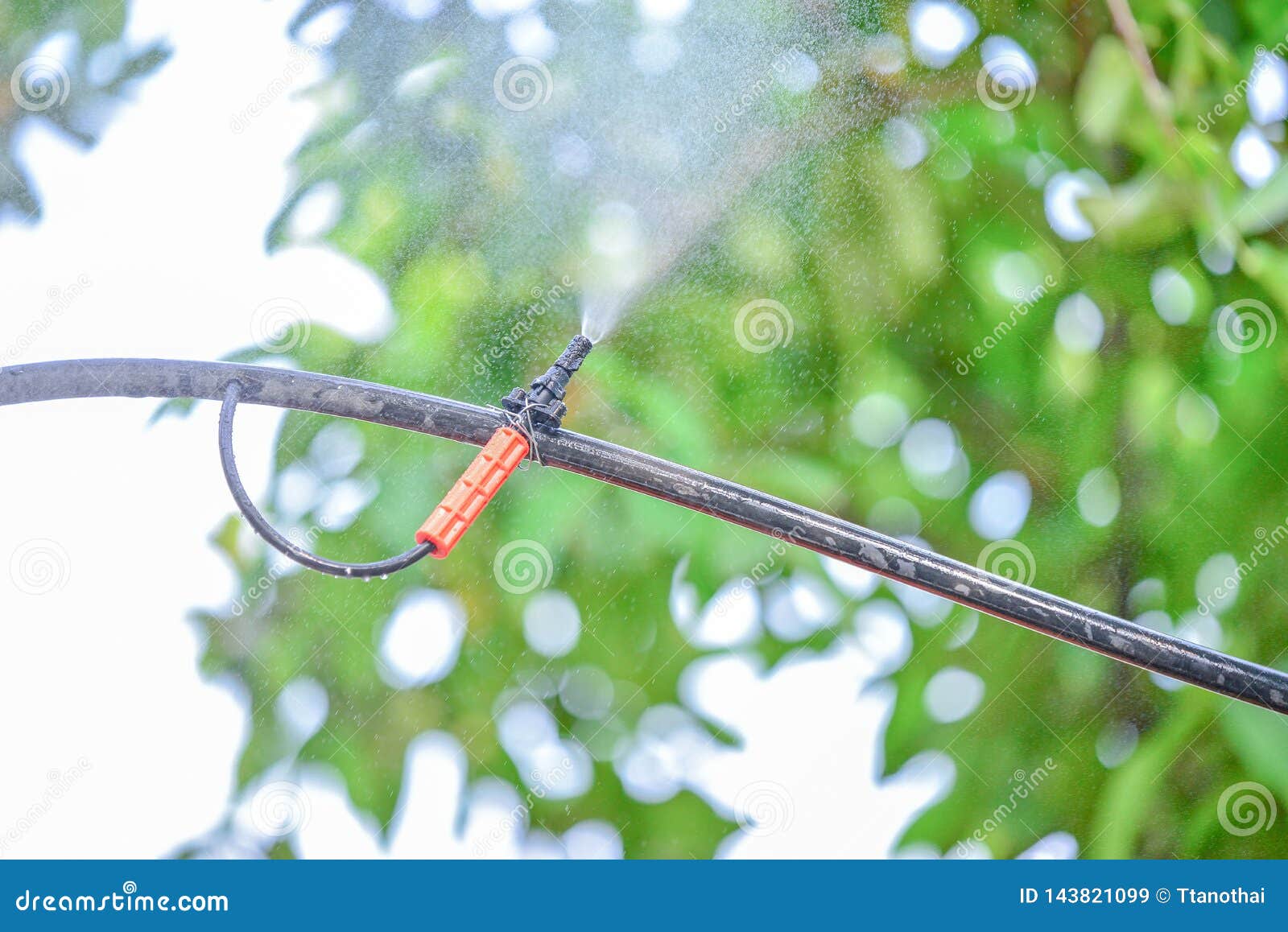 Fog spray in green garden stock image. Image of moisture - 143821099