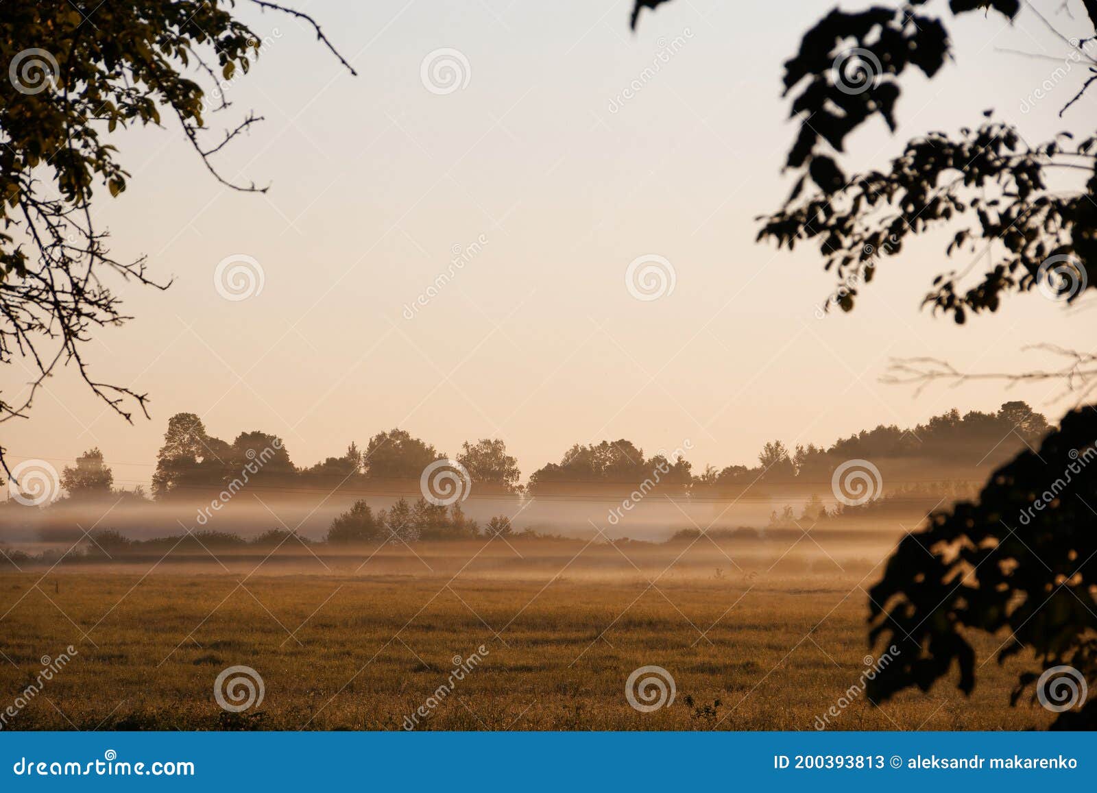 Fog Spreads Over the Field in Spring Stock Image - Image of dawn ...
