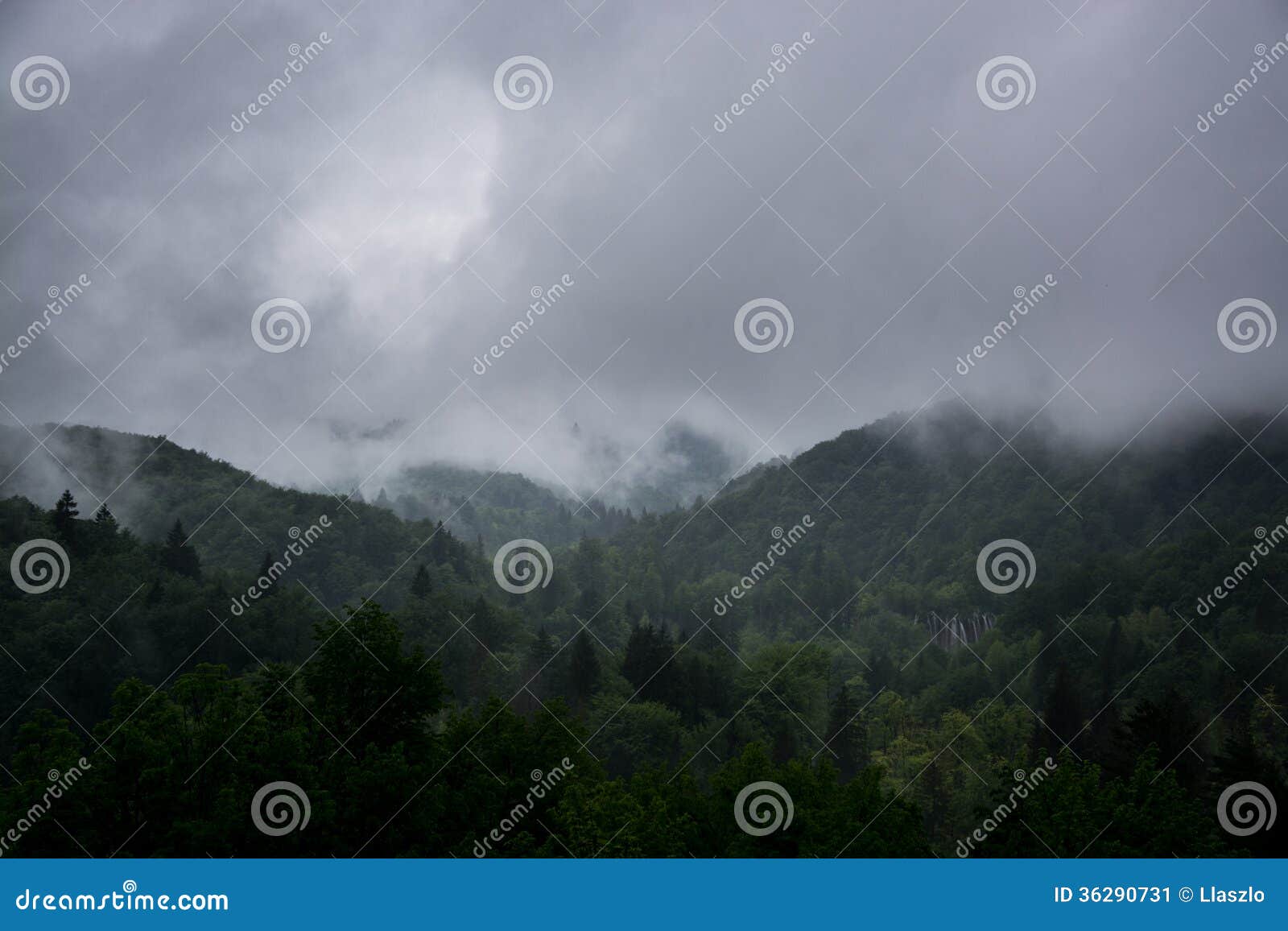 Fog and Storm over Forest stock image. Image of season - 36290731
