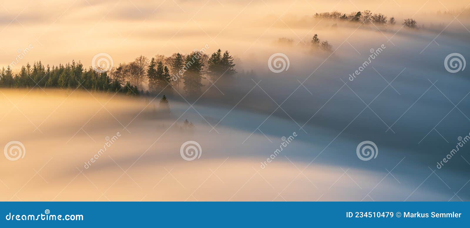 Fog Streams Down through Trees into a Valley in the Black Forest Stock ...