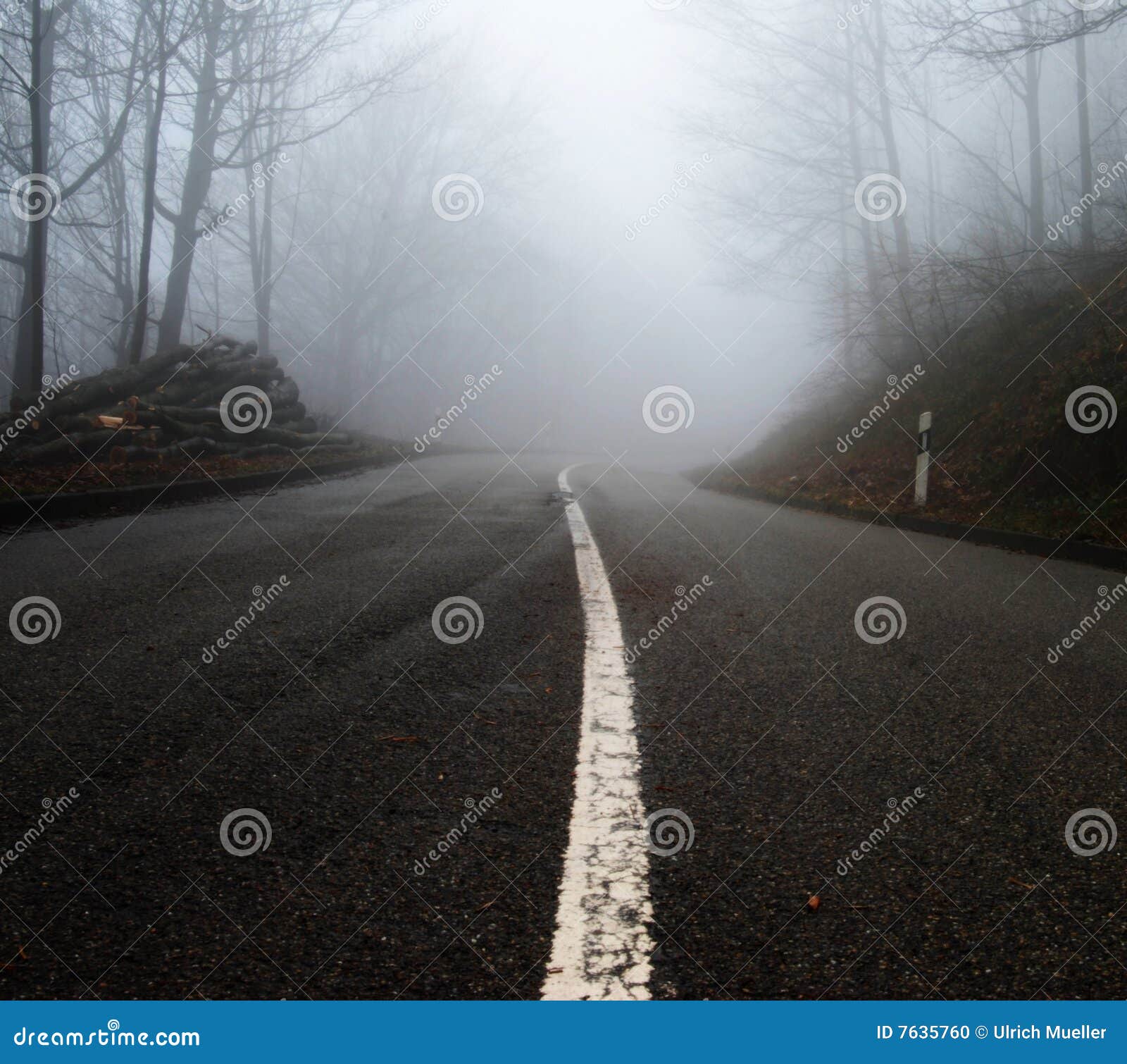 Fog Street stock photo. Image of forest, autumn, empty - 7635760