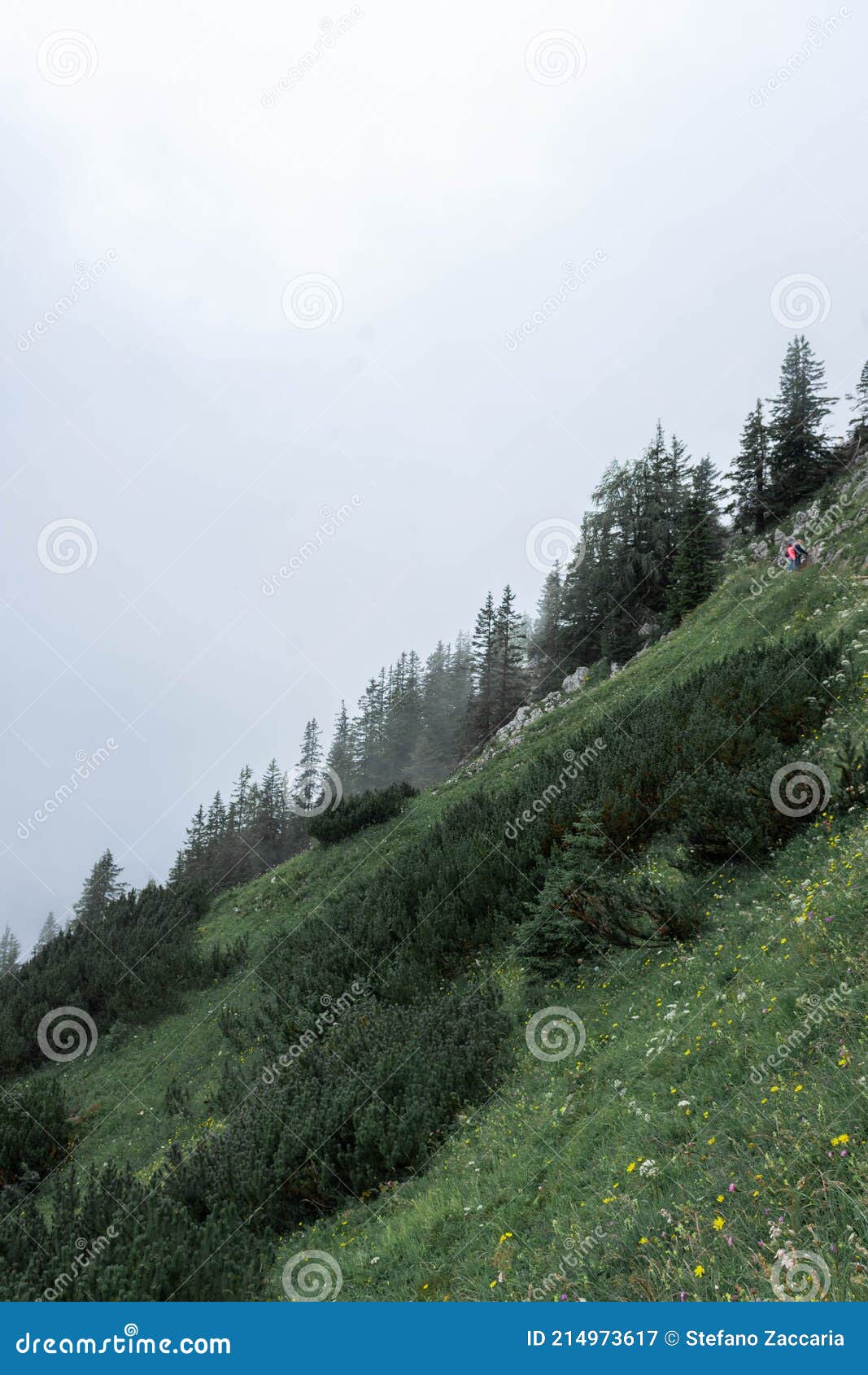 Fog on the Top of Mount Jenner, Germany Stock Image - Image of bavarian ...