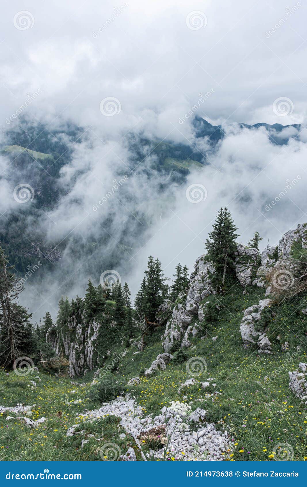 Fog on the Top of Mount Jenner Germany Stock Photo - Image of panorama ...