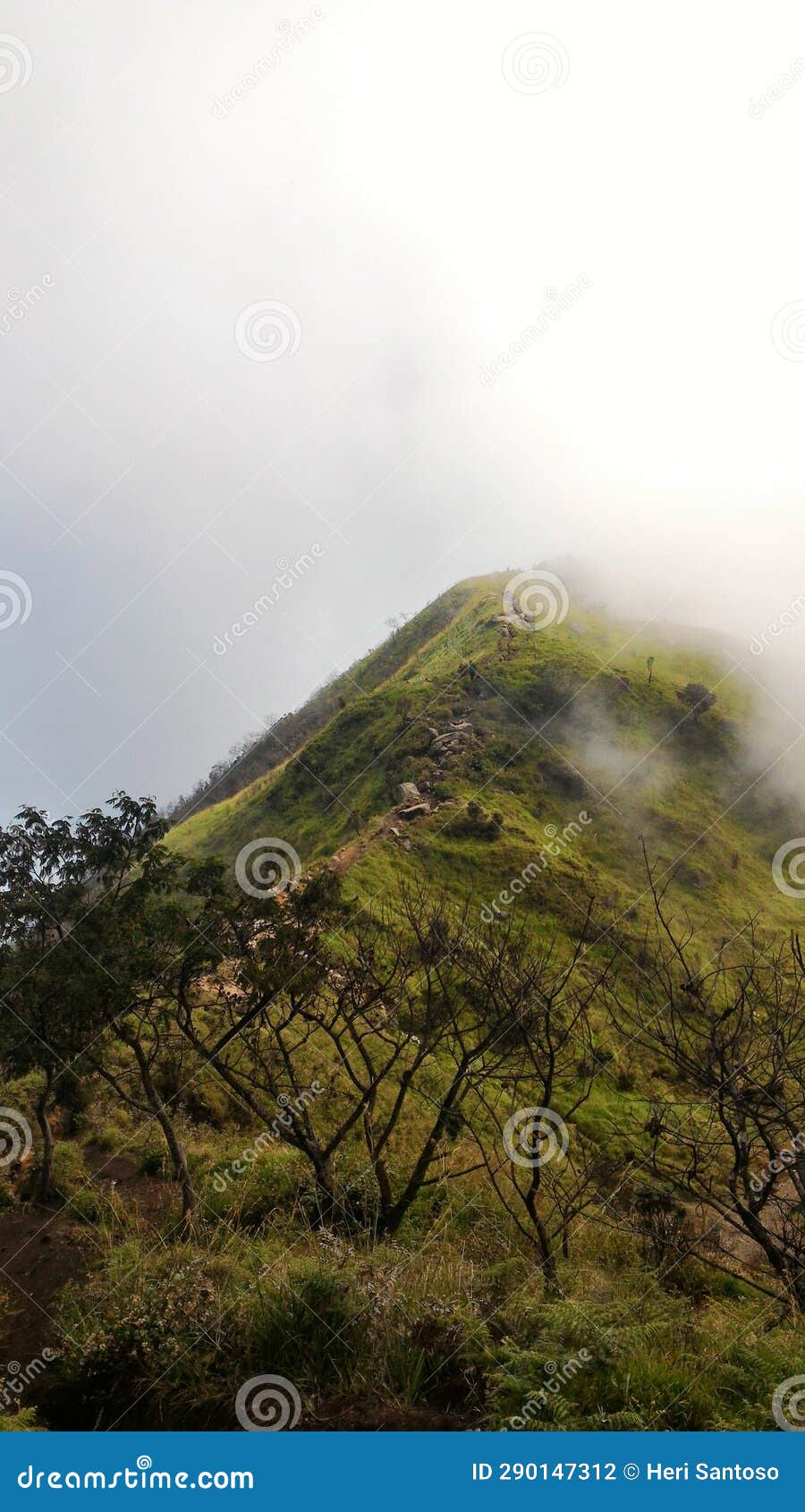 Kabut Di Puncak Gunung Merbabu Stock Photo - Image of nature, climbing ...