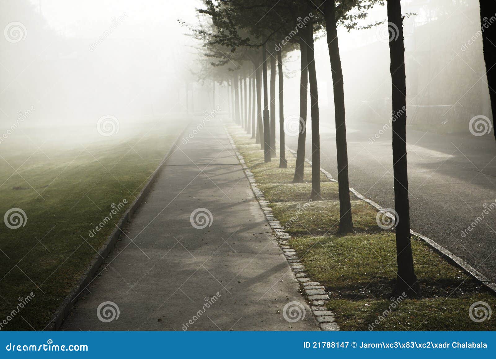 Fog in town stock image. Image of foliage, journey, nature - 21788147