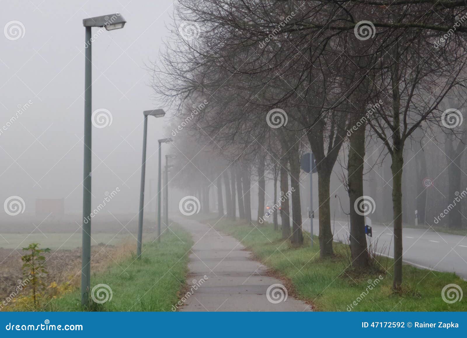 The Fog stock photo. Image of landscape, street, streets - 47172592