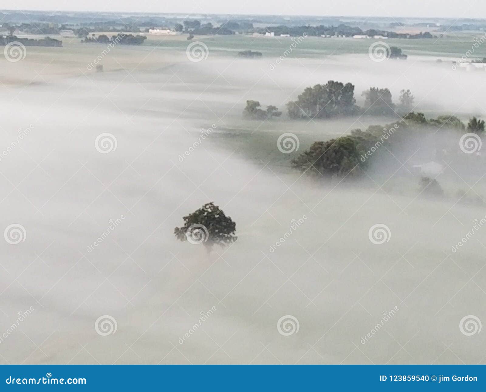 Fog views stock photo. Image of tree, trees, views, peeking - 123859540