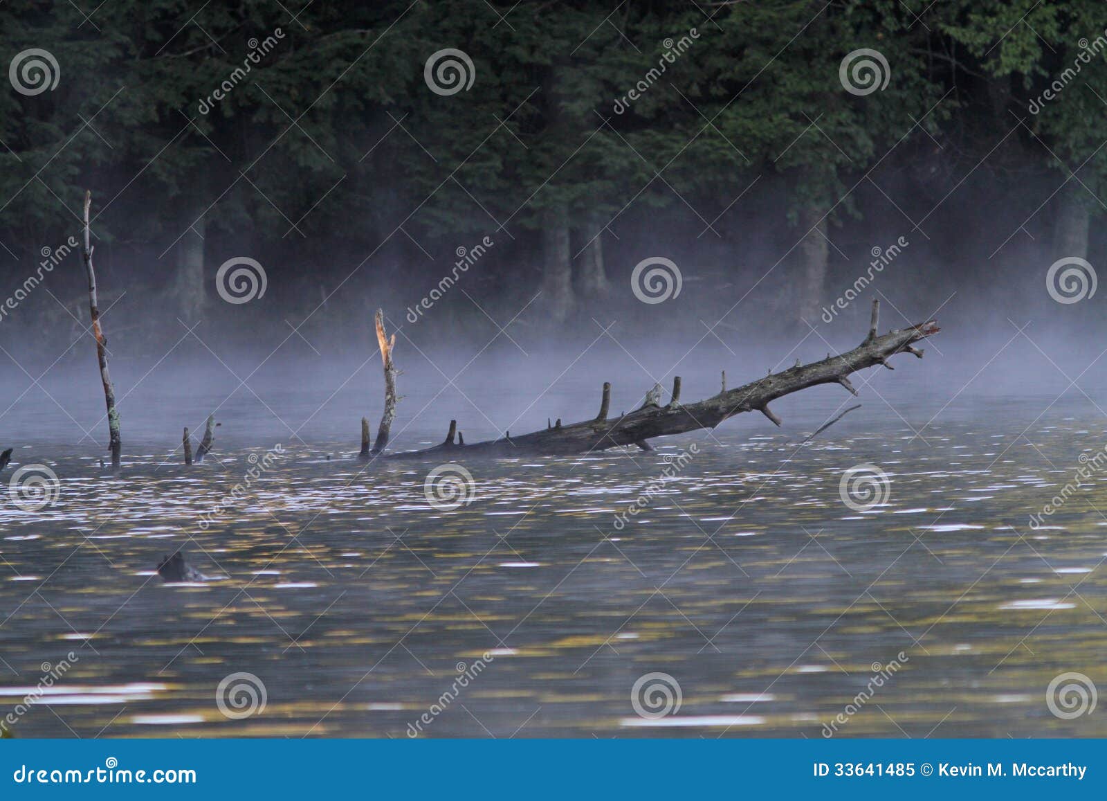 Fog on a Wilderness Lake stock image. Image of morning - 33641485