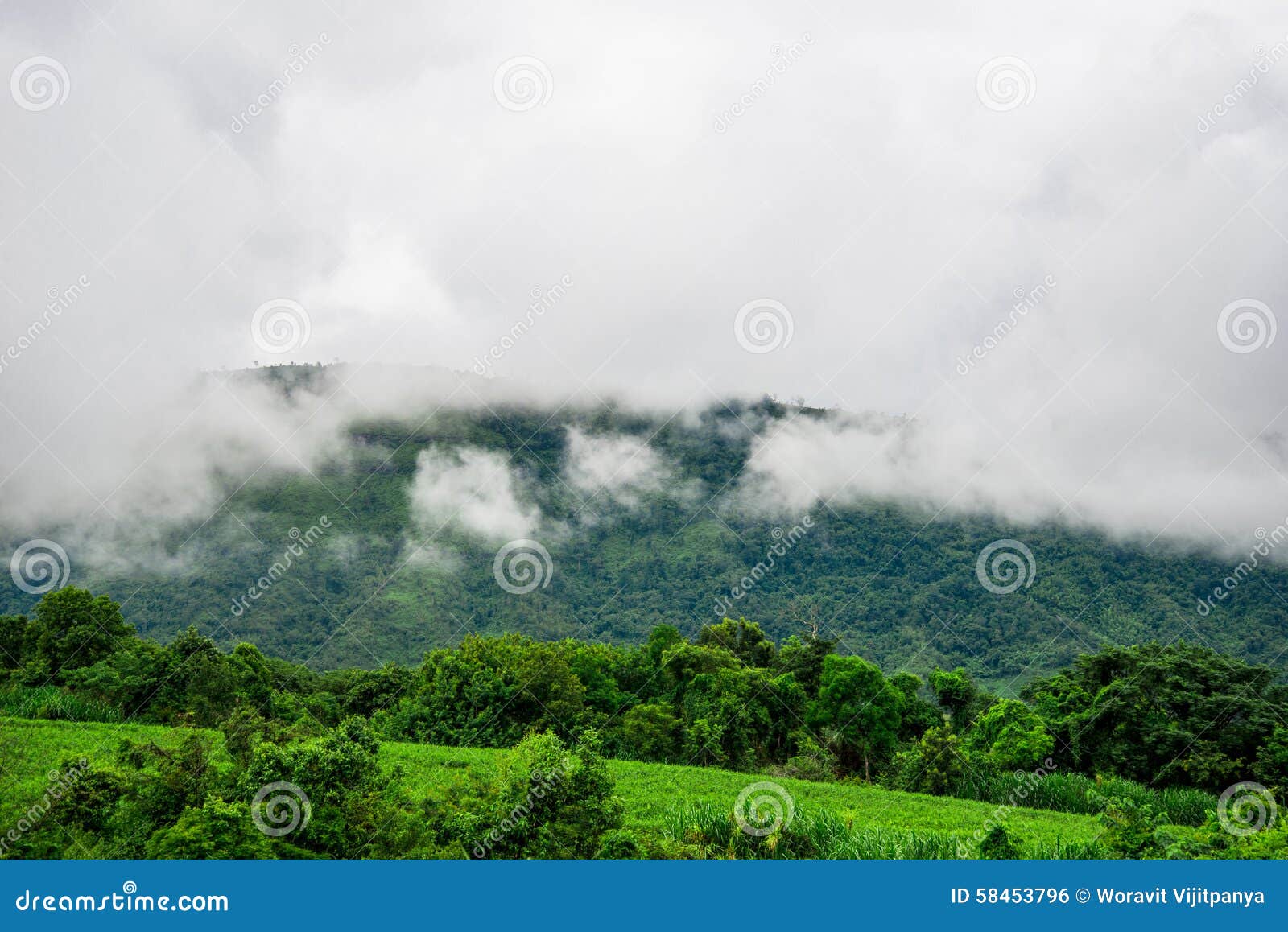 Fog Wind flow stock photo. Image of scenery, cloud, morning - 58453796