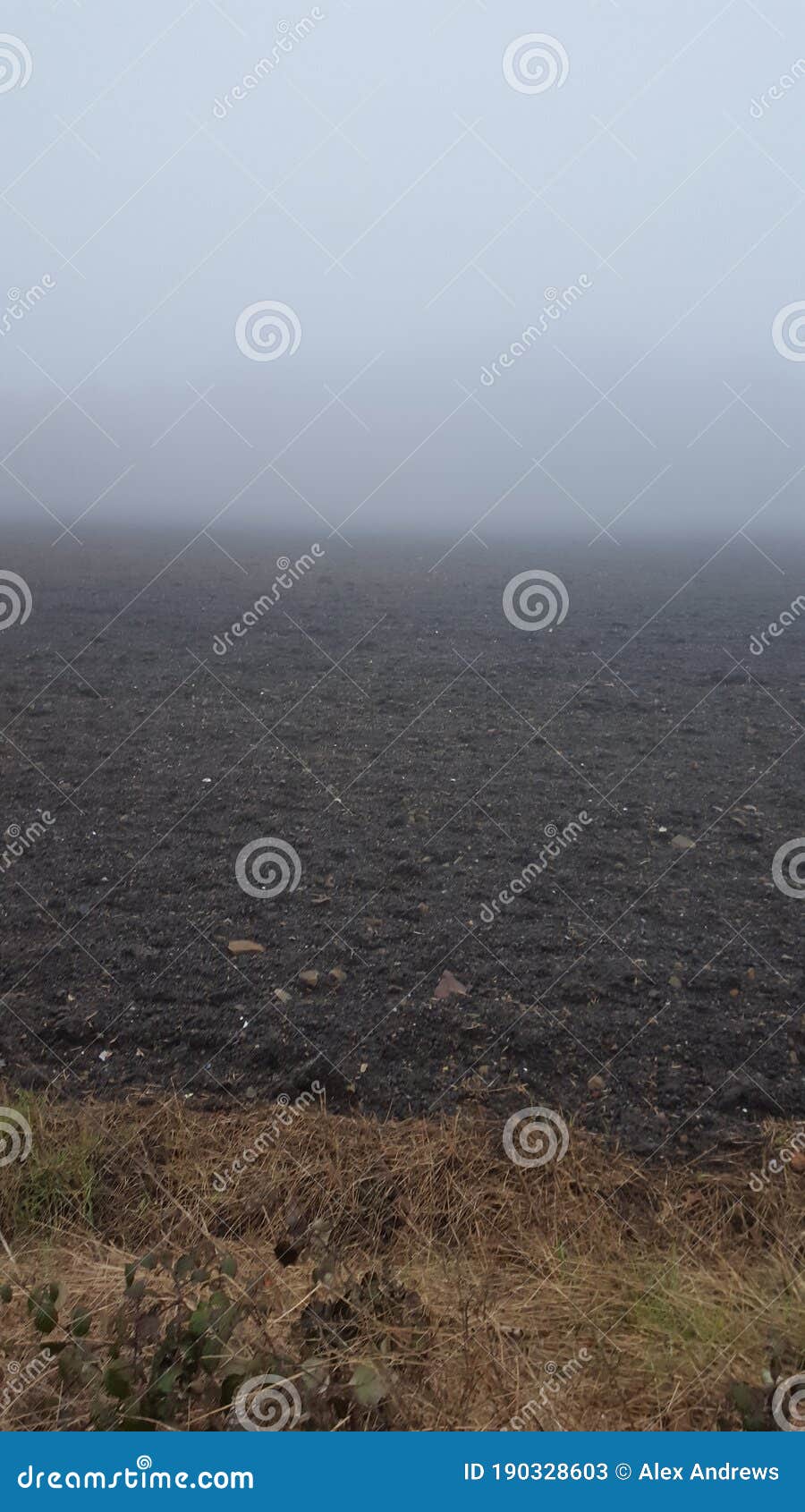 The fog stock image. Image of mysterious, fogey, filed - 190328603