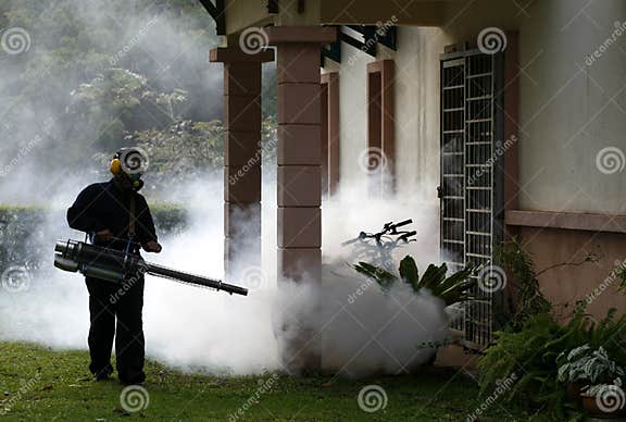 Fogging stock photo. Image of zoology, dead, fever, mosquitoes - 5921210