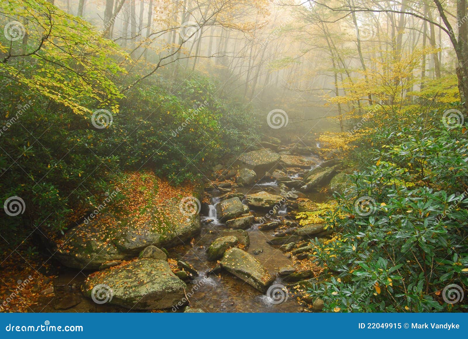 Foggy Appalachian Stream with Autumn Foliage Stock Image - Image of ...