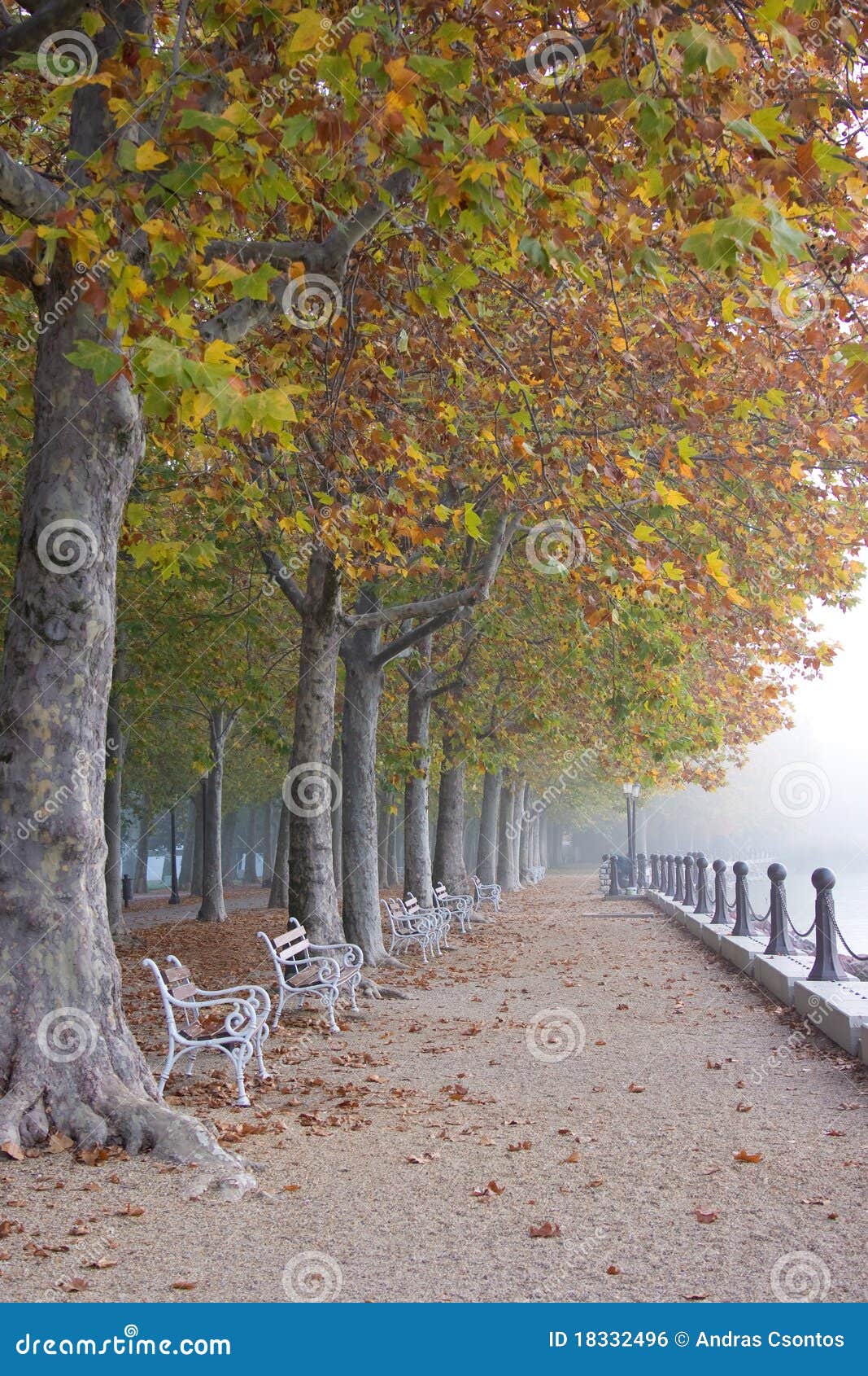 Foggy autumn stock photo. Image of ballast, leaf, white - 18332496
