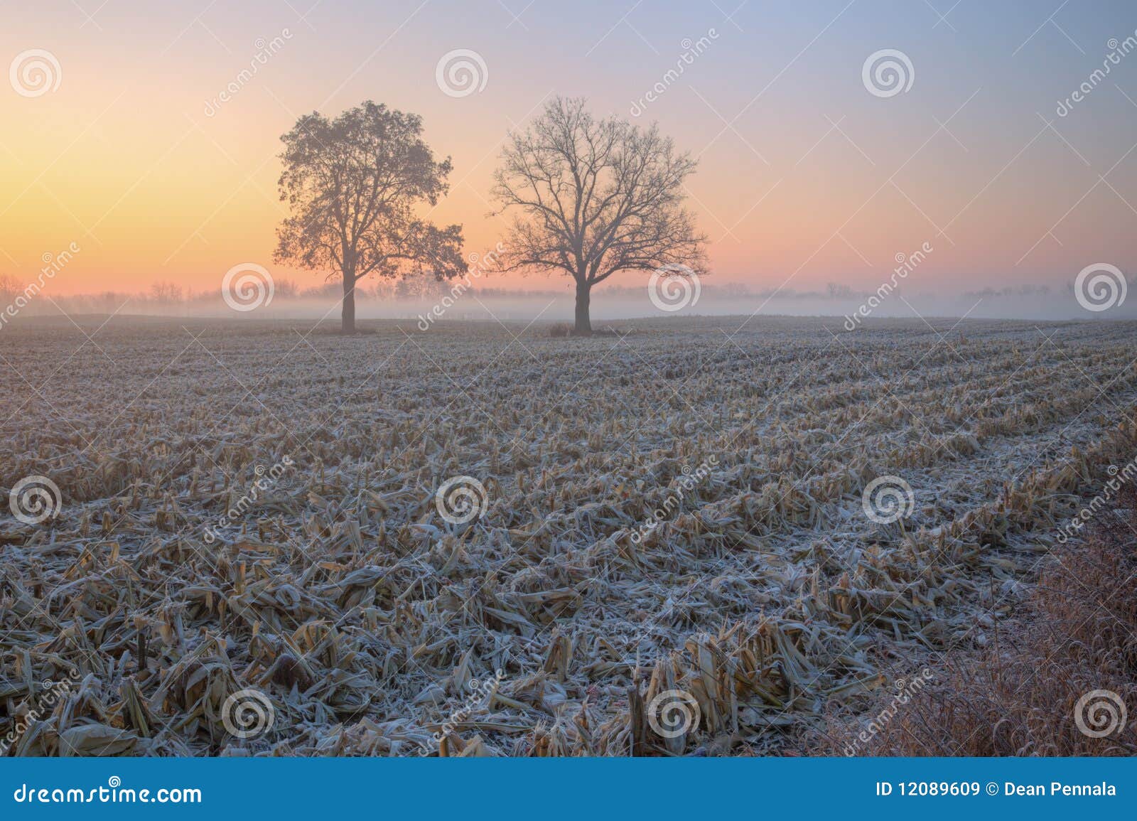 Foggy Autumn Landscape stock image. Image of fall, foggy - 12089609