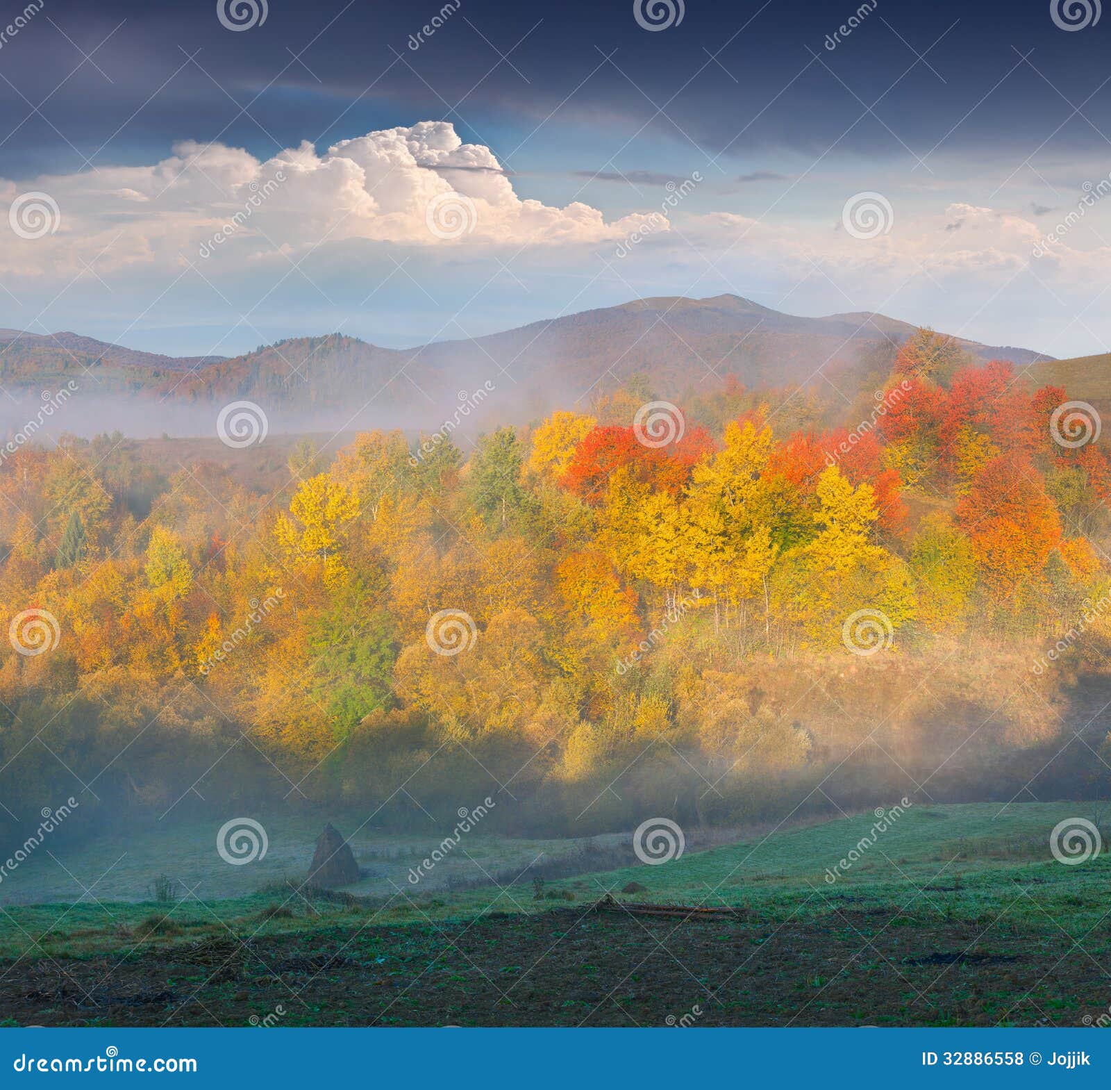 Foggy autumn landscape stock photo. Image of green, environment - 32886558
