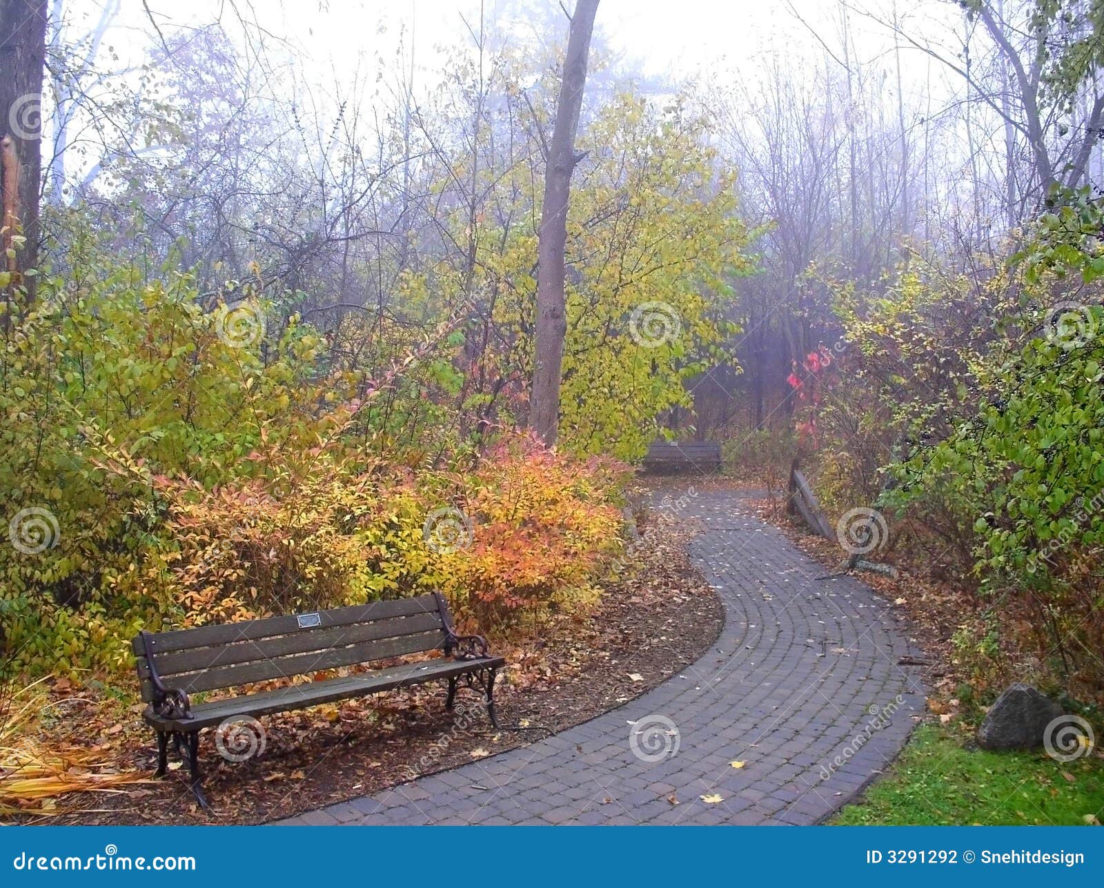 Foggy Autumn Scene stock photo. Image of little, time - 3291292