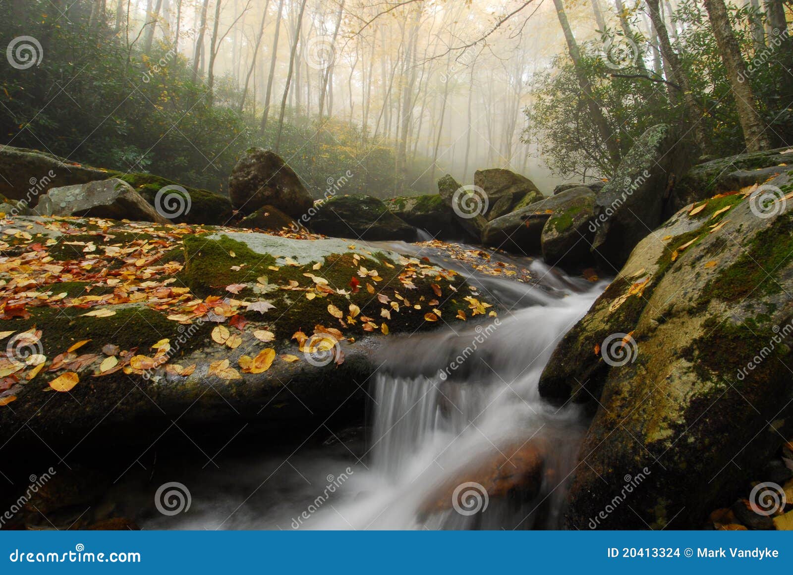 Foggy Autumn Stream in North Carolina Stock Photo - Image of fork ...