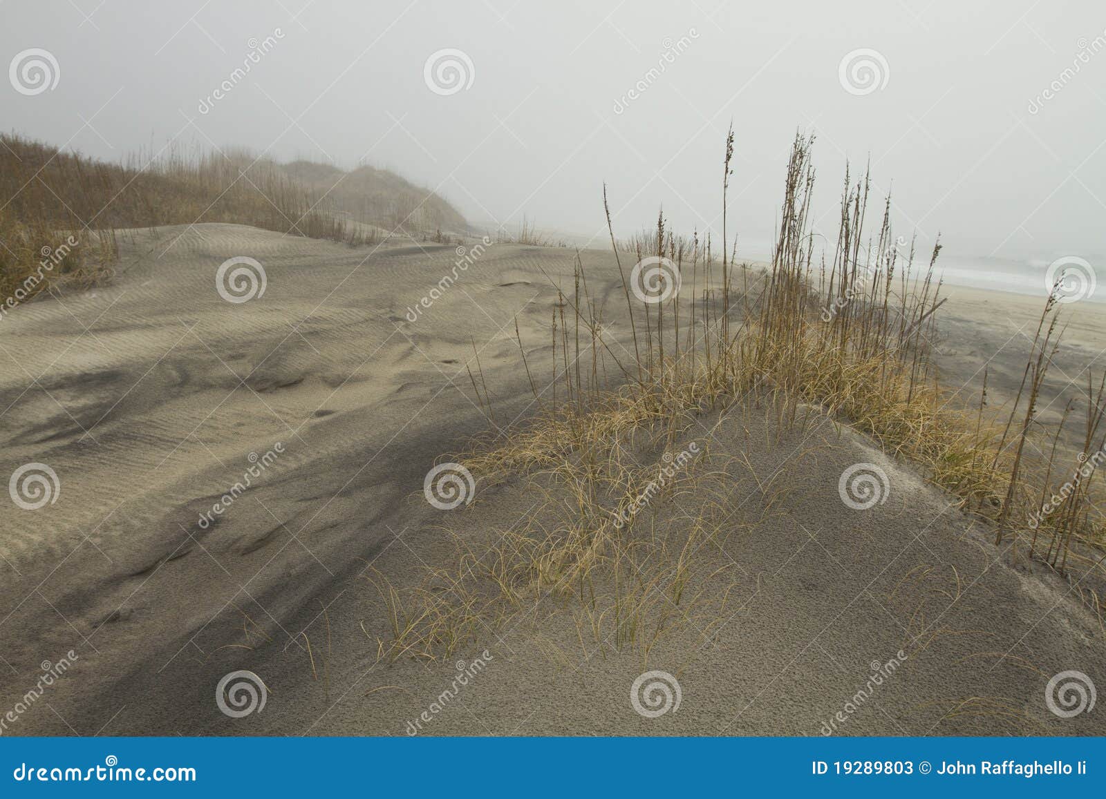 Foggy Beach stock image. Image of nature, dunes, color - 19289803
