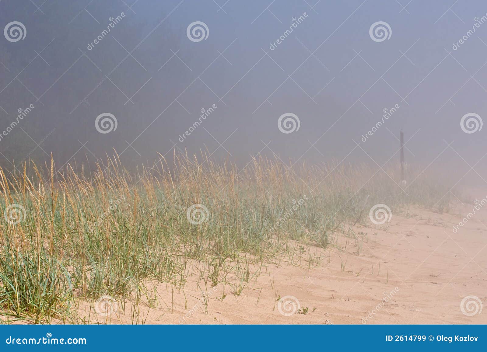 Foggy beach stock image. Image of coast, scene, nature - 2614799