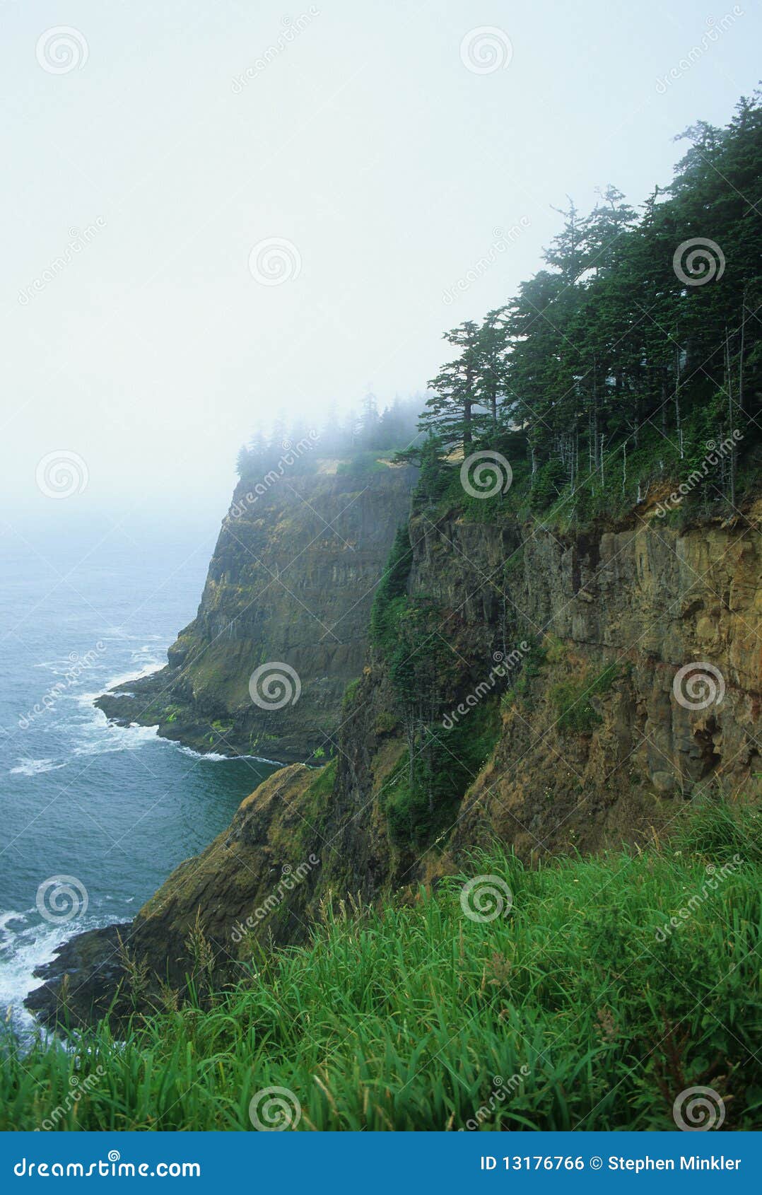 Foggy cliffs stock photo. Image of oregon, bluffs, lush - 13176766